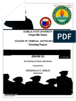 PNP Seal and Badge With Meaning | PDF