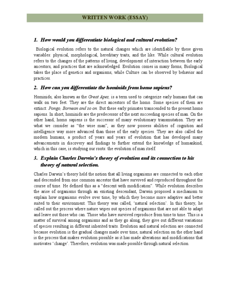 UCSP Essay (Grade 11) | PDF | Evolution | Human