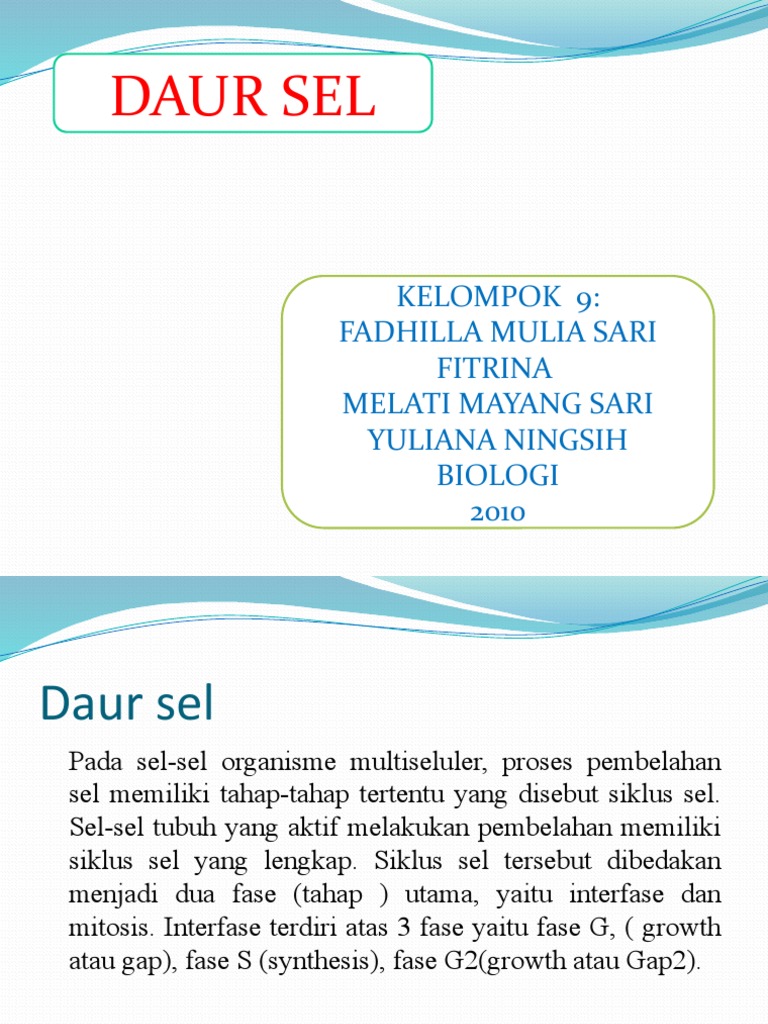 Daur Sel | PDF