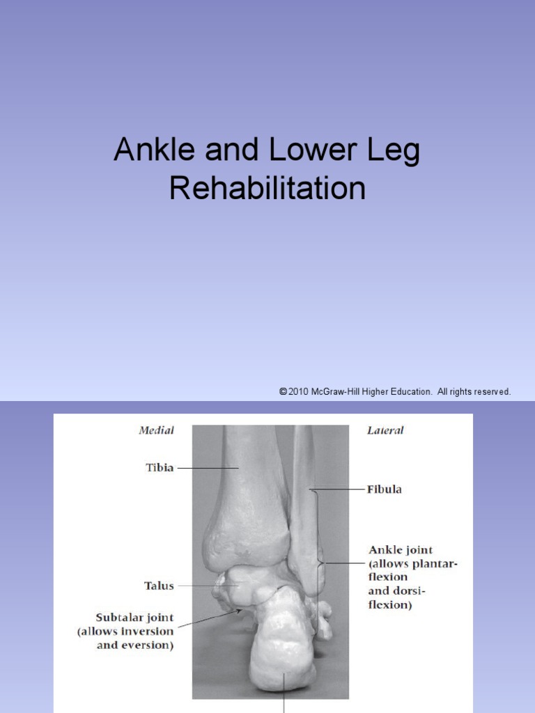 Ankle and Lower Leg Rehabilitation: © 2010 Mcgraw-Hill Higher Education ...