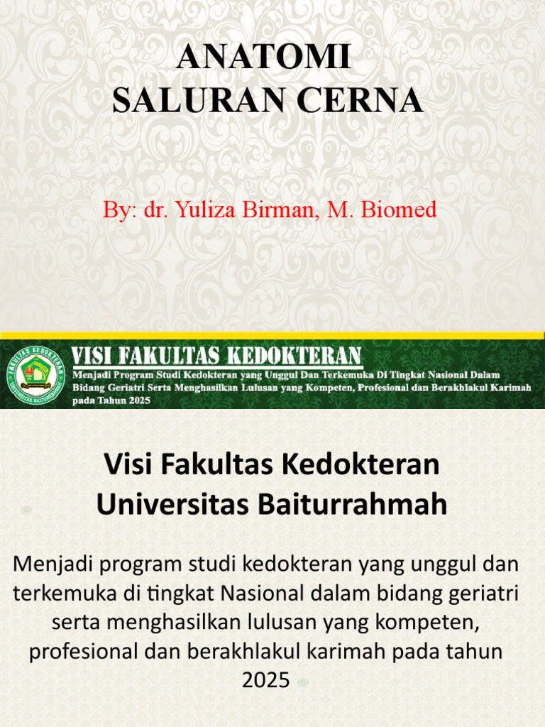 Anatomi Saluran Cerna Atas | PDF