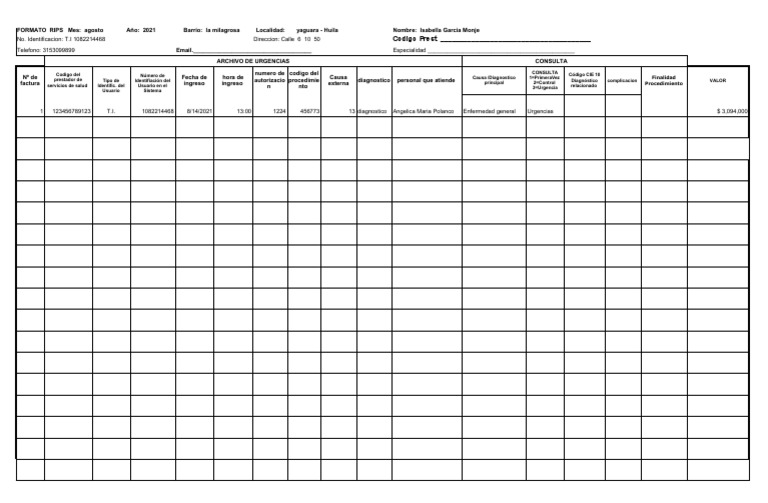 Formato Rips Diligenciar en Excel | PDF | Ciencias de la Salud ...