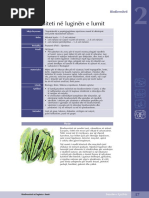 Biologji Riprodhimi Te Shtazët L.H | PDF