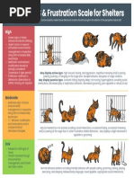 Cat Dissection Guide PDF | PDF