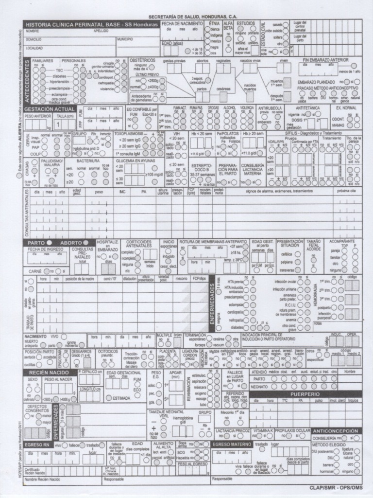Formato Historia Clínica Perinatal | PDF