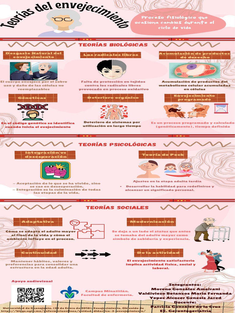 Teorías Del Envejecimiento | PDF | Envejecimiento | Adultos