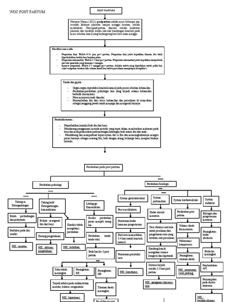 Pathway Perawatan Post Partum Ibu | PDF