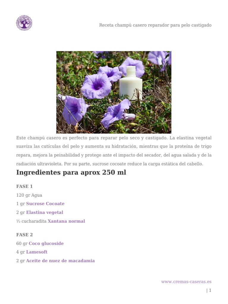 Receta Champú Casero Reparador para Pelo Castigado | PDF | Cocina ...