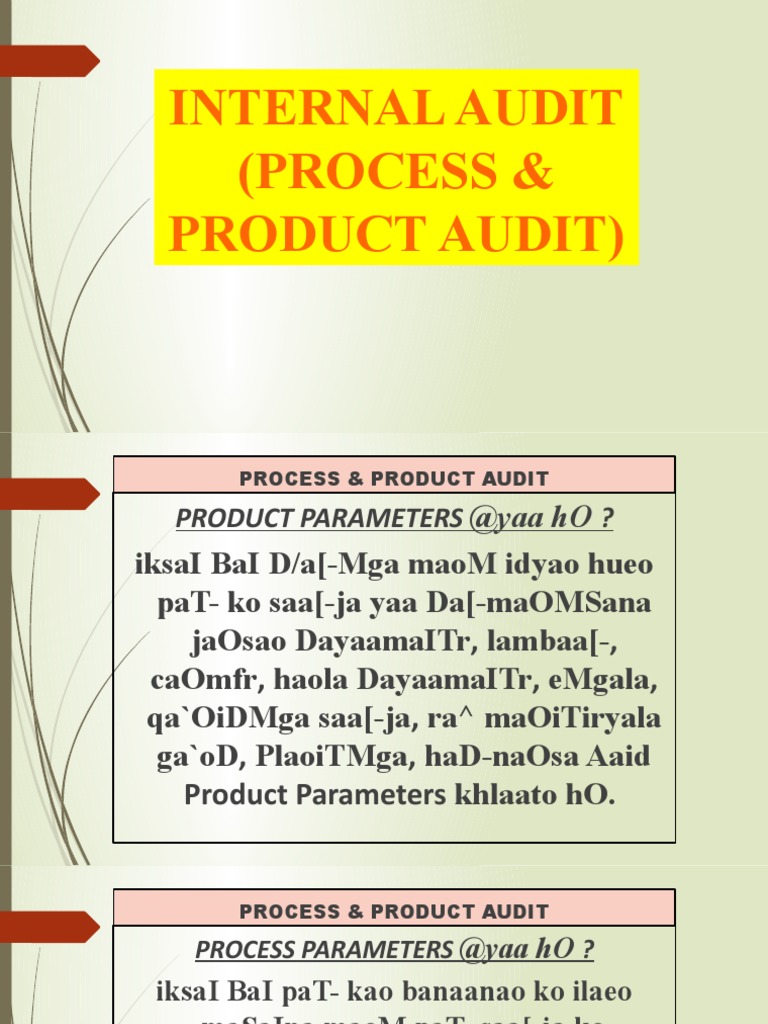 Process & Product Audit | PDF | Business Process Management | Service ...