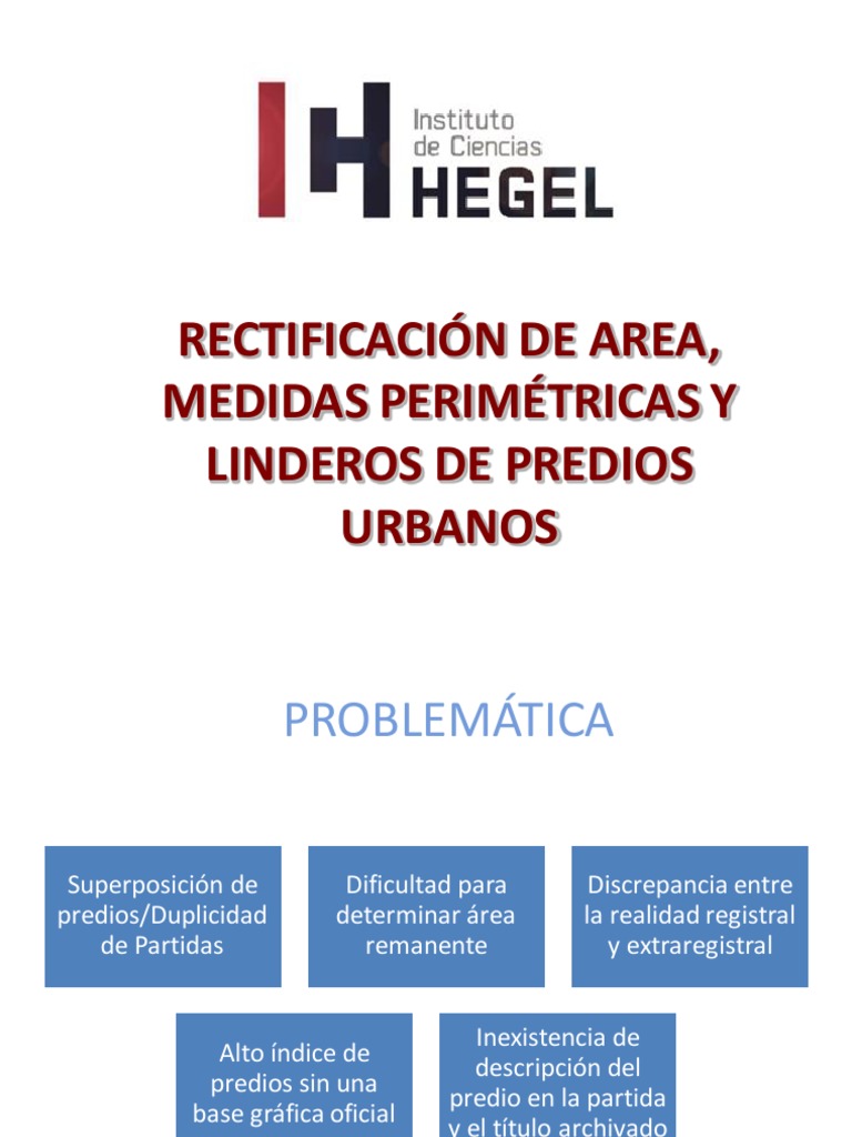 Rectificacion de Area - 2020 | PDF | Derecho Civil (Common Law) | Justicia