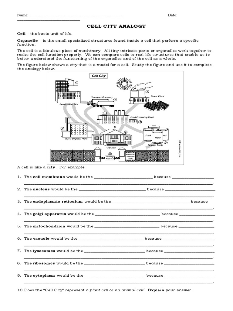 Plant Cell City Analogy