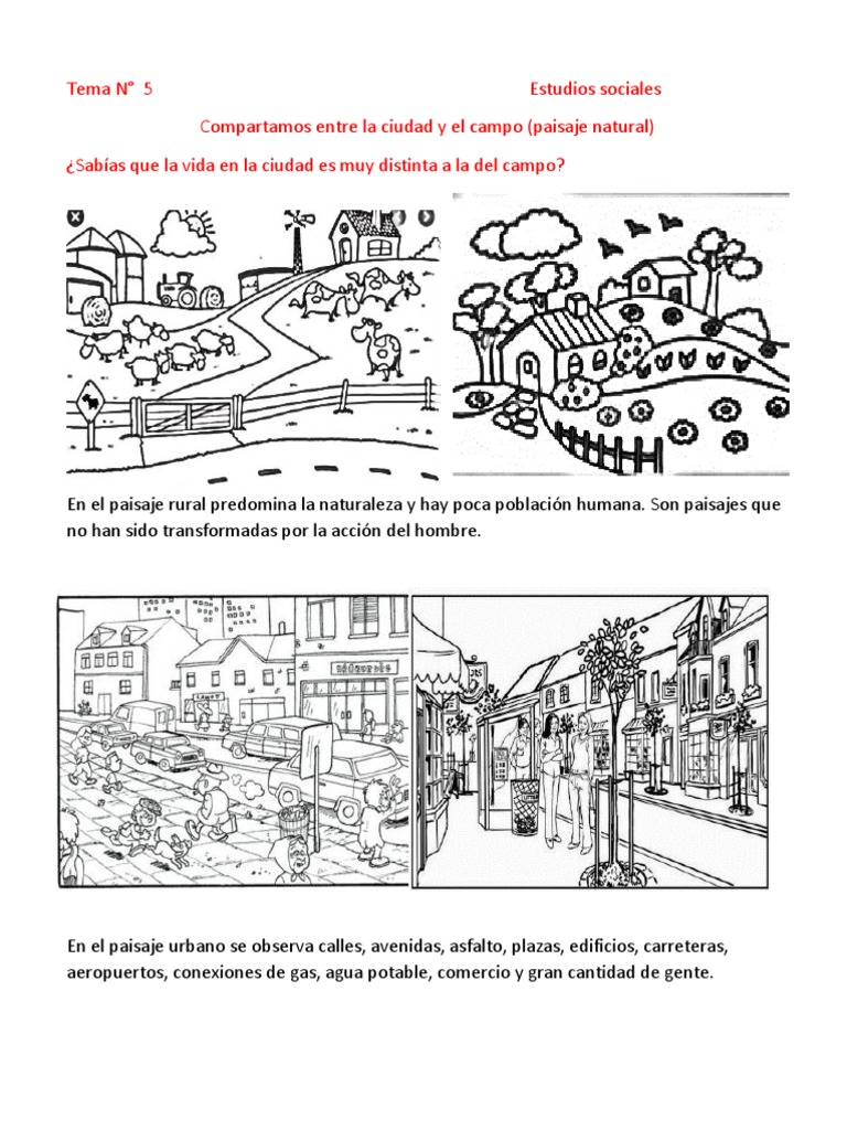 Ciudad y Campo: Actividades para Niños | PDF