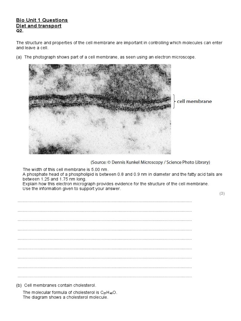 Bio Unit 1 Diet N Transport | PDF | Cardiovascular Diseases | Cell Membrane