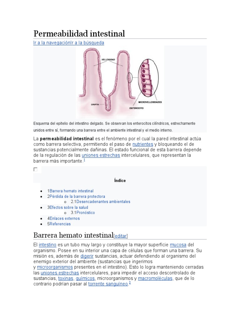 Permeabilidad Intestinal | PDF | Medicina | Ciencias de la Salud