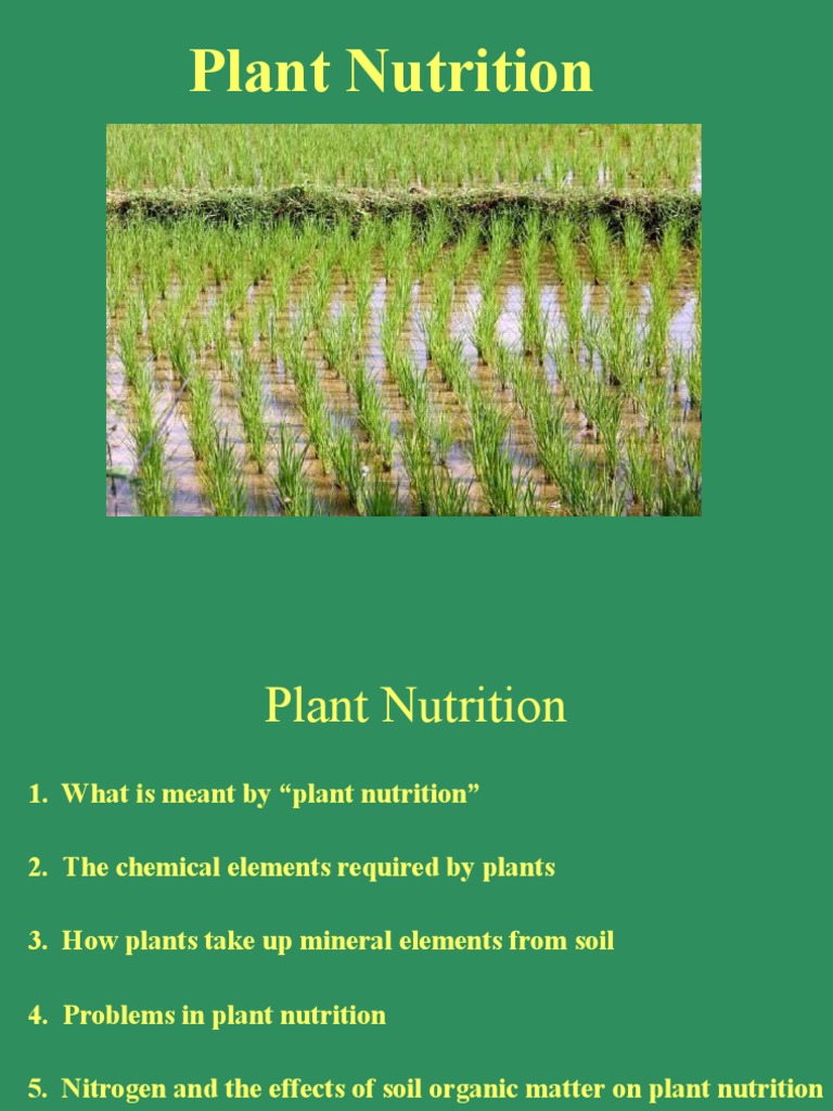 Plant Nutrition | PDF | Plant Nutrition | Botany