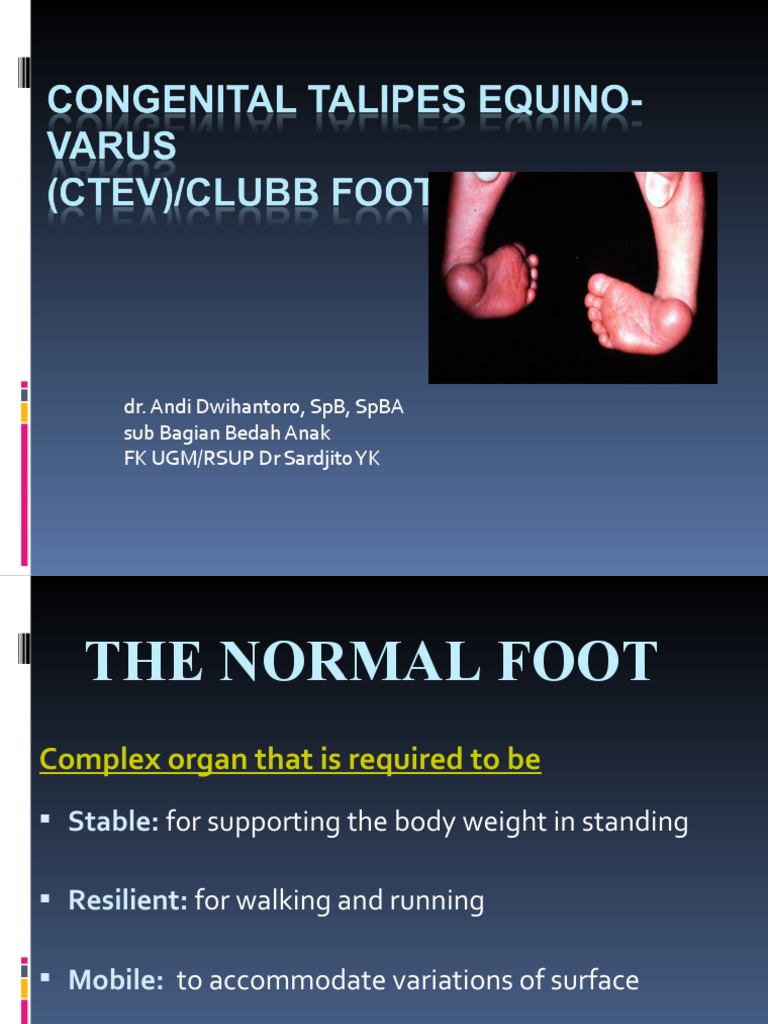 Ctev | PDF | Ankle | Foot