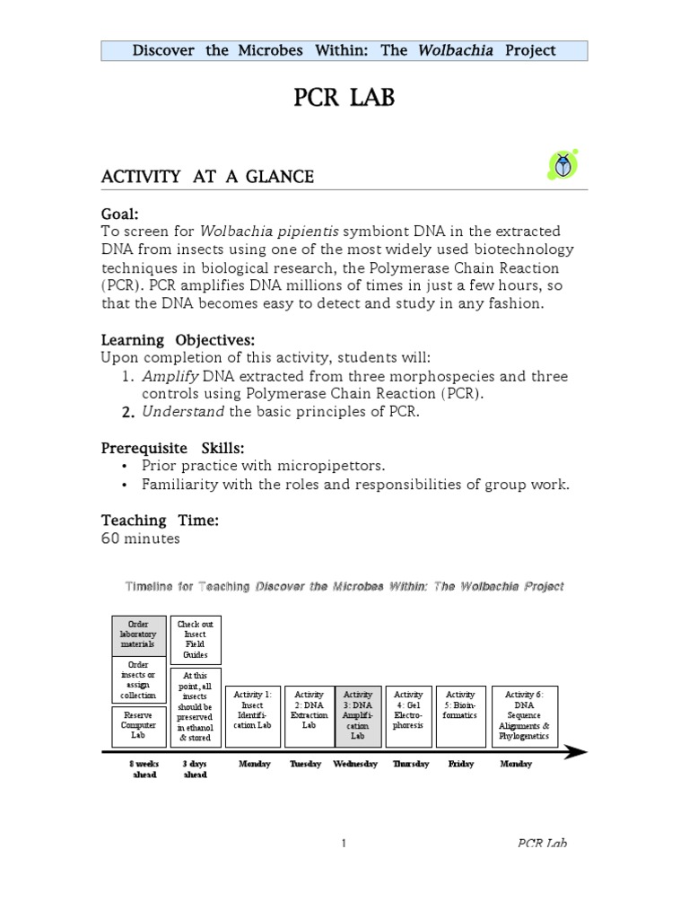 PCR Lab: Activity at A Glance | PDF | Polymerase Chain Reaction ...