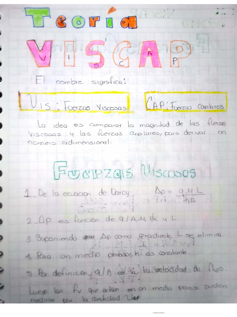 Raya - 7a - Teoría Viscap | PDF