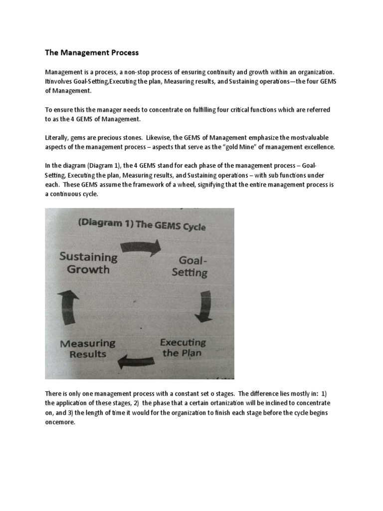 The Management Process | PDF | Goal | Sales