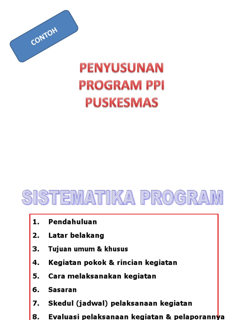 Program Ppi Puskesmas | PDF