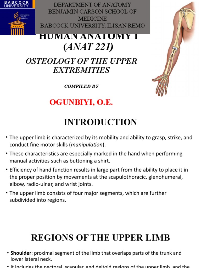 1 Bones of The Upper Limb | Download Free PDF | Limbs (Anatomy ...