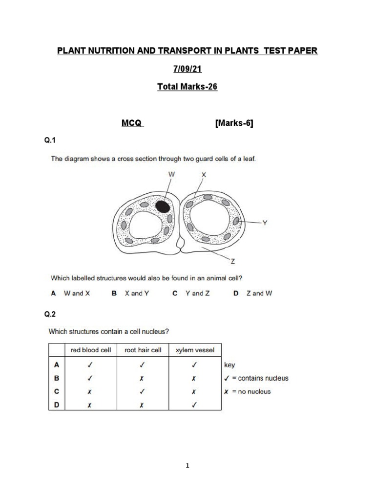 Plant Nutrition and Transport in Plants Test | PDF