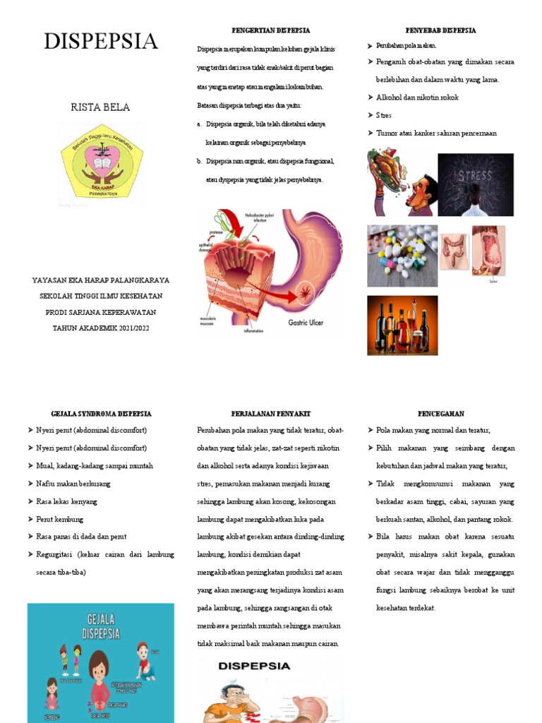 Leaflet Dispepsia | PDF