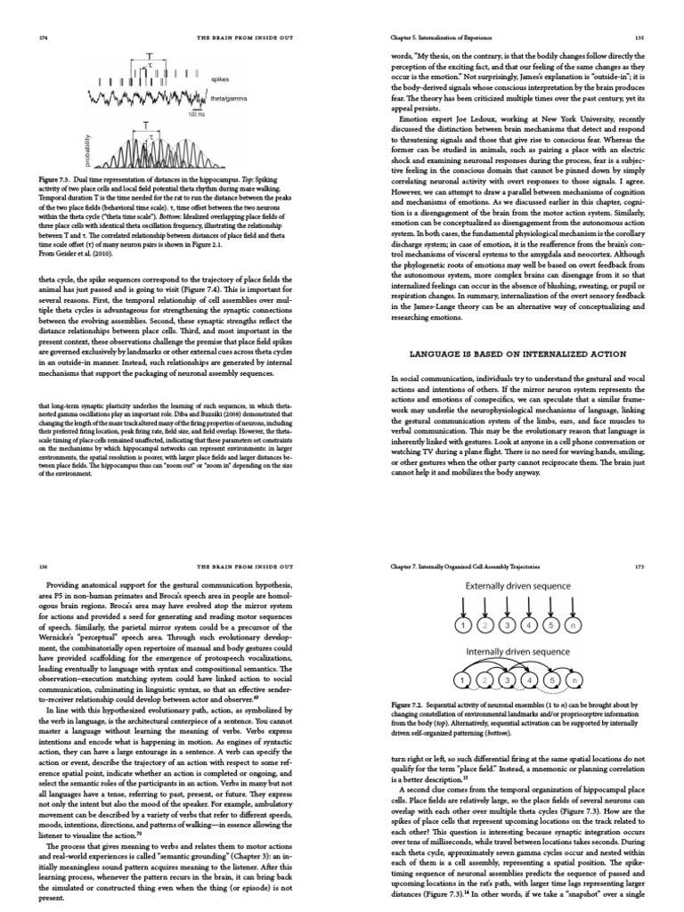 174 The Brain From Inside Out 135: Chapter 5. Internalization of ...