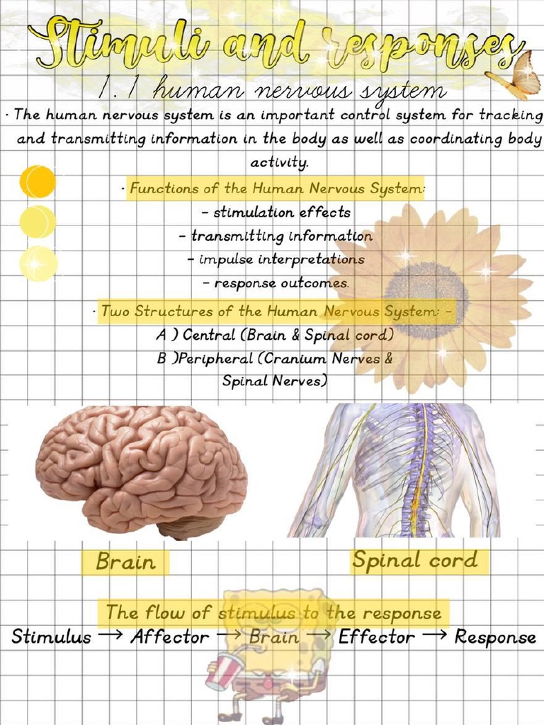 Chapter 1 f3 Science | PDF