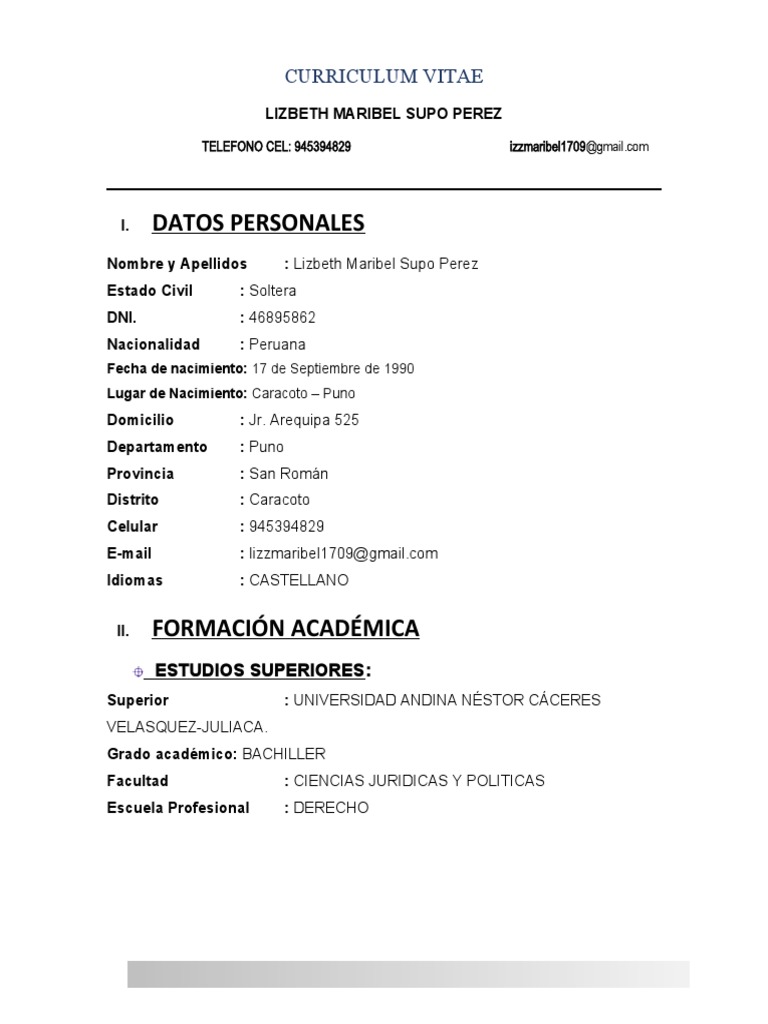 CV Lisbeth Supo Perez | PDF
