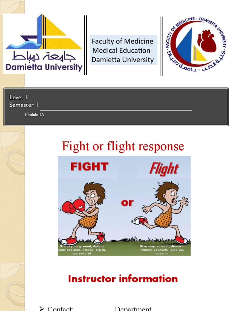Understanding the Fight or Flight Response | PDF | Fight Or Flight ...