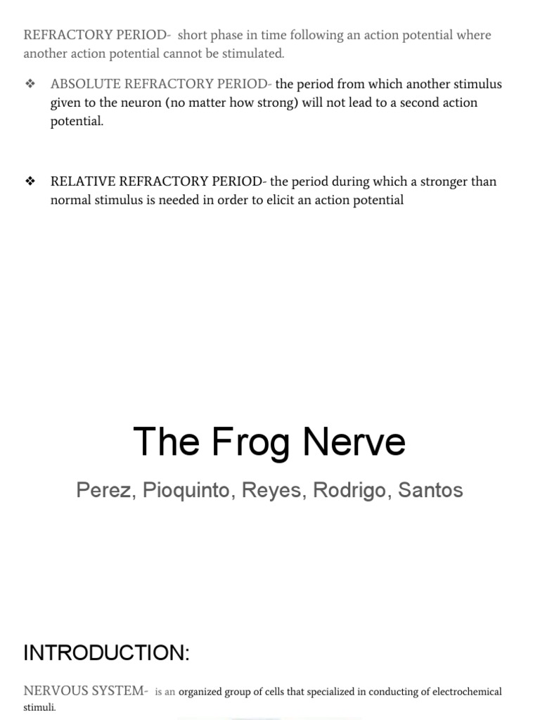 The Frog Nerve | PDF | Action Potential | Neuron