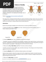 Handout 4-21 - Pigeonetics - Lab | PDF | Phenotypic Trait | Dominance ...