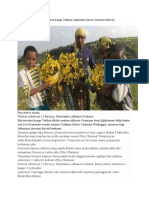 Walaloo Haadhaa | PDF