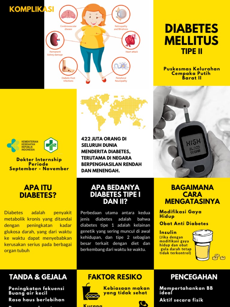 Leaflet DM Tipe Ii | PDF