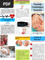 Cartel de Zuspan | PDF