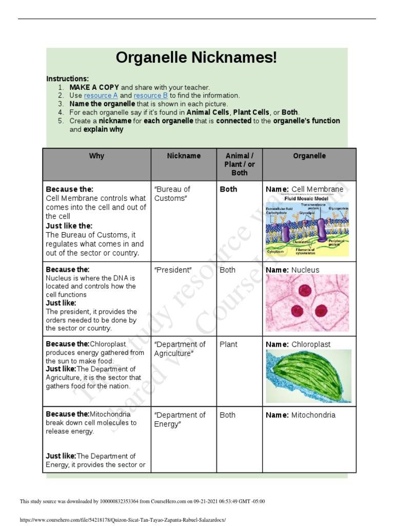 This Study Resource Was: Organelle Nicknames! | PDF | Endoplasmic ...