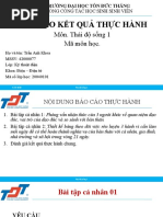 Trắc nghiệm bơi lội TDTU | PDF