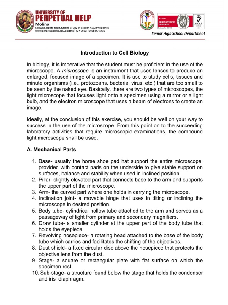 Introduction To Cell Biology: Senior High School Department | PDF ...