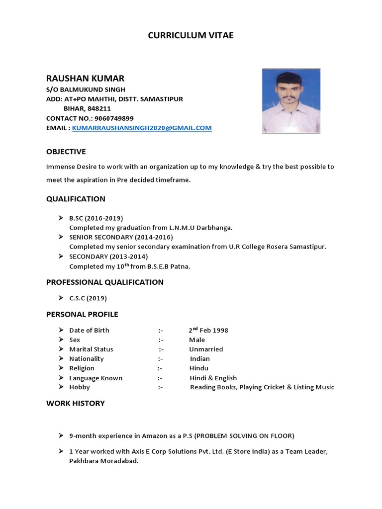 A Career Summary: Raushan Kumar's Curriculum Vitae | PDF