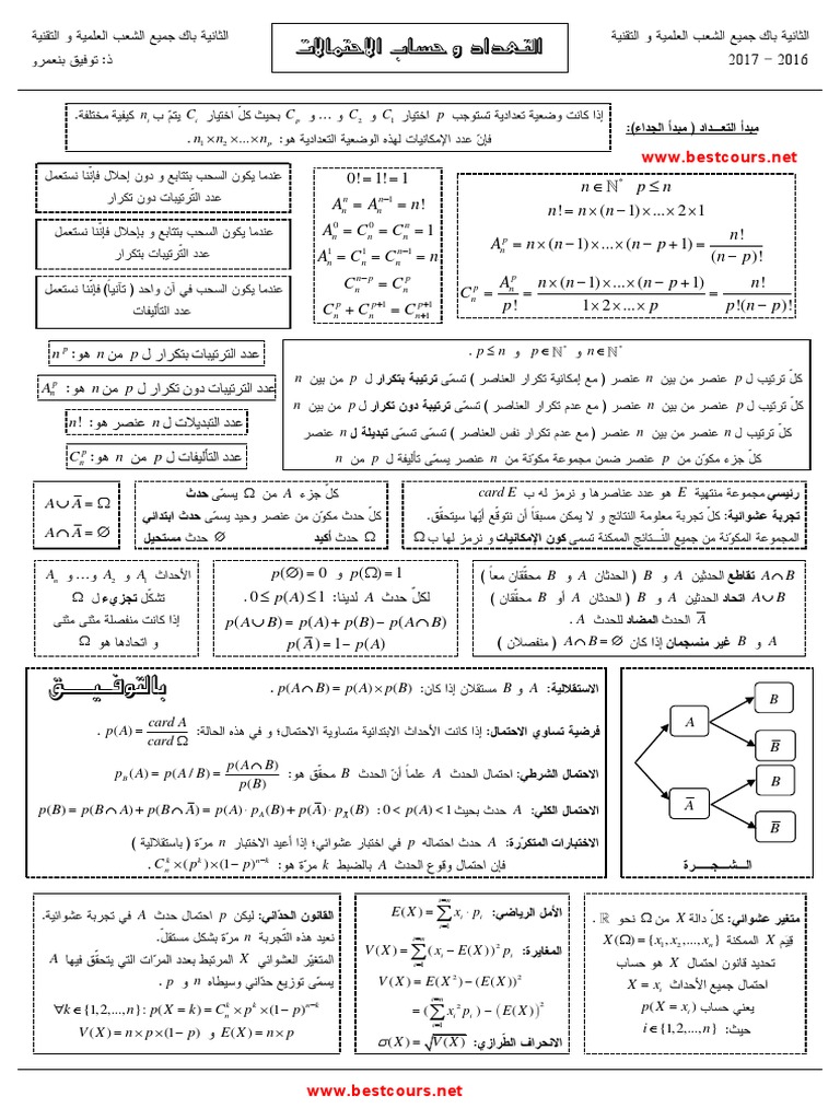 24 Proba Resum | PDF | Heart | Endocrine System