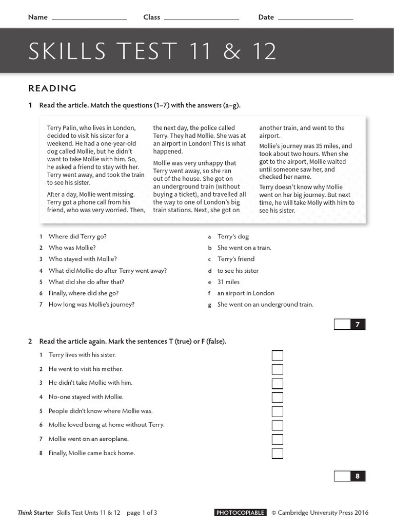 Think Starter Skills Test Units 11-12 | PDF