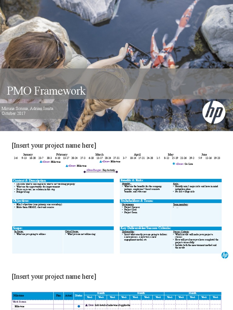 PMO Framework and Templates Guide | PDF | Risk | Computing