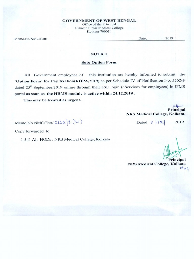 Option Form For Pay Fixation ROPA 2019 | PDF
