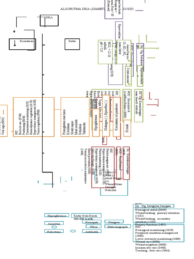 Algoritma Dka | PDF | Endocrine | Clinical Medicine