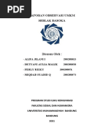 Laporan Hasil Wawancara Umkm | PDF