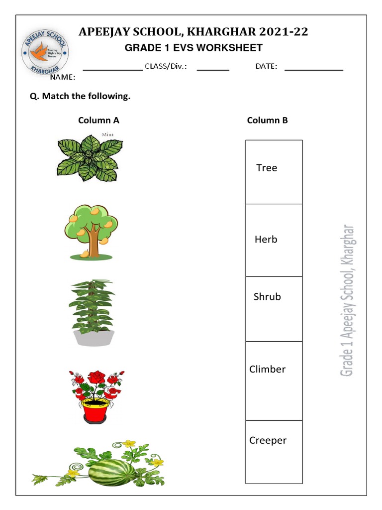Class 1 EVS Plants Matching Worksheet | PDF