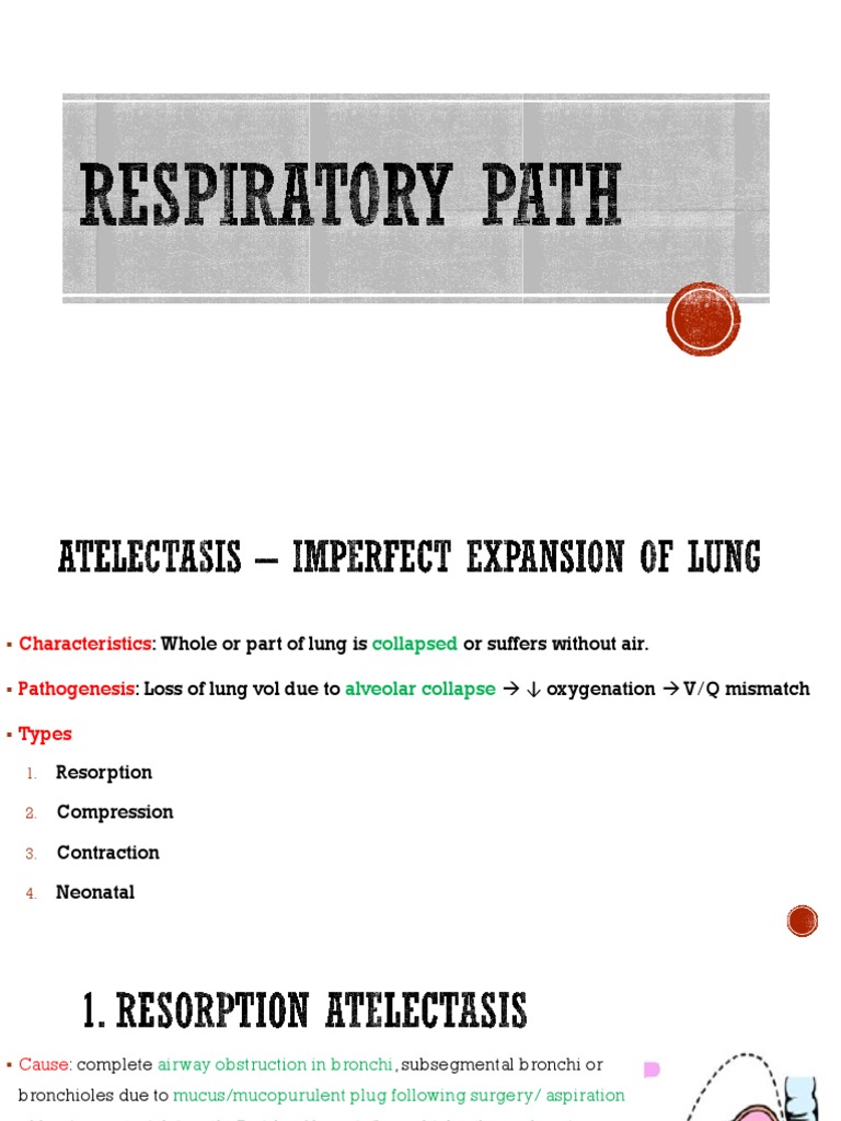 Lung Collapse and Airway Disorders Overview | PDF | Lung | Respiratory ...