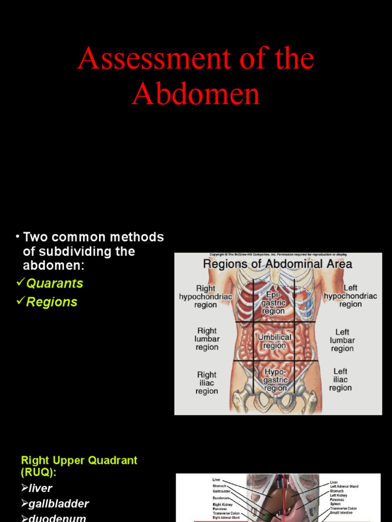 Assessment of The Abdomen | PDF | Abdomen | Constipation