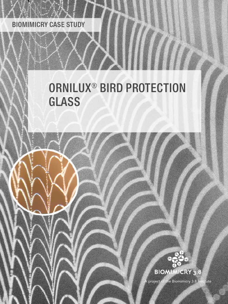 Ornilux Bird Protection Glass: Biomimicry Case Study | PDF ...
